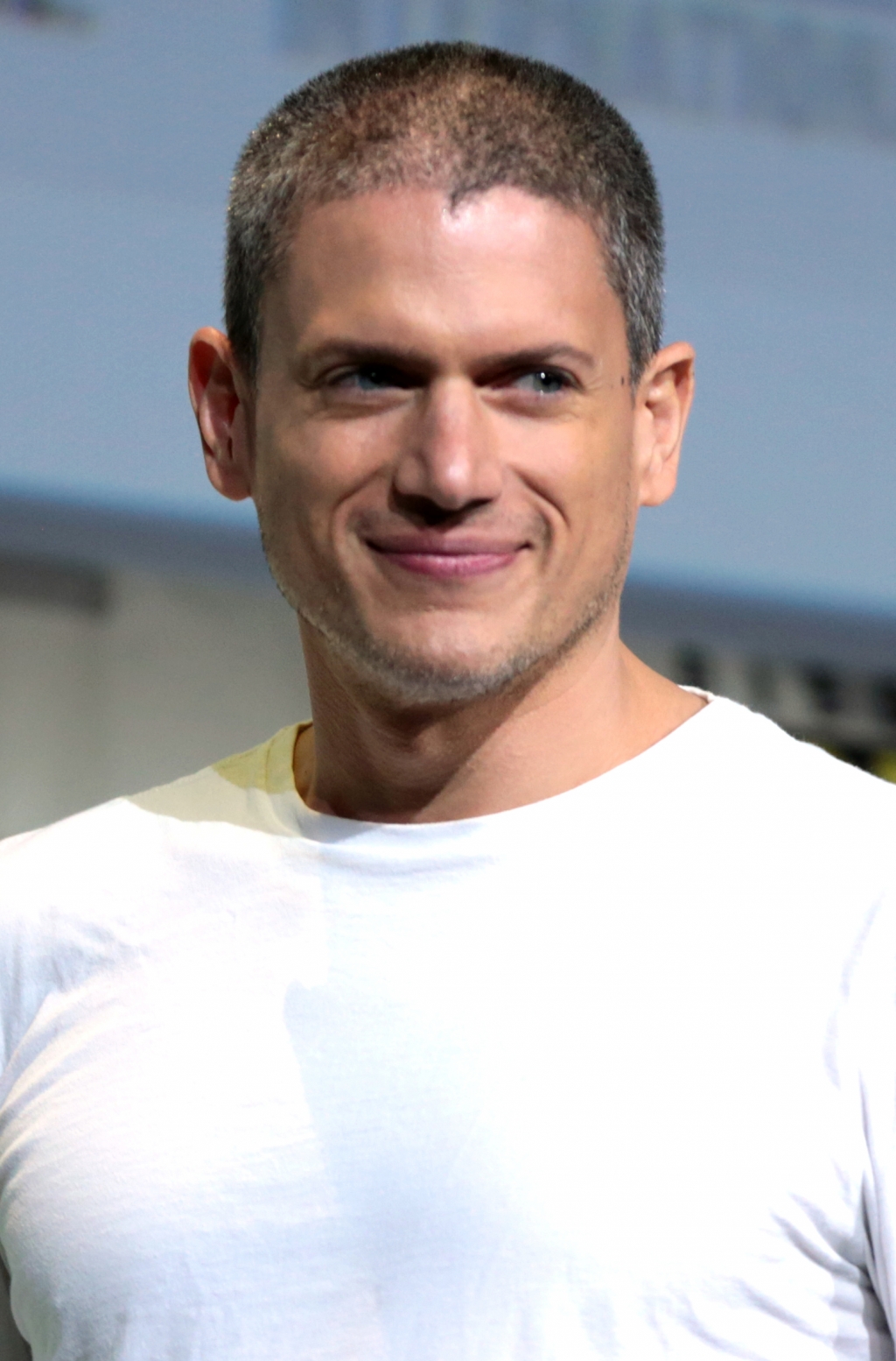 ‘Prison Break’ Season 5, Episode 8 Spoilers: “Progeny” – Michael ...