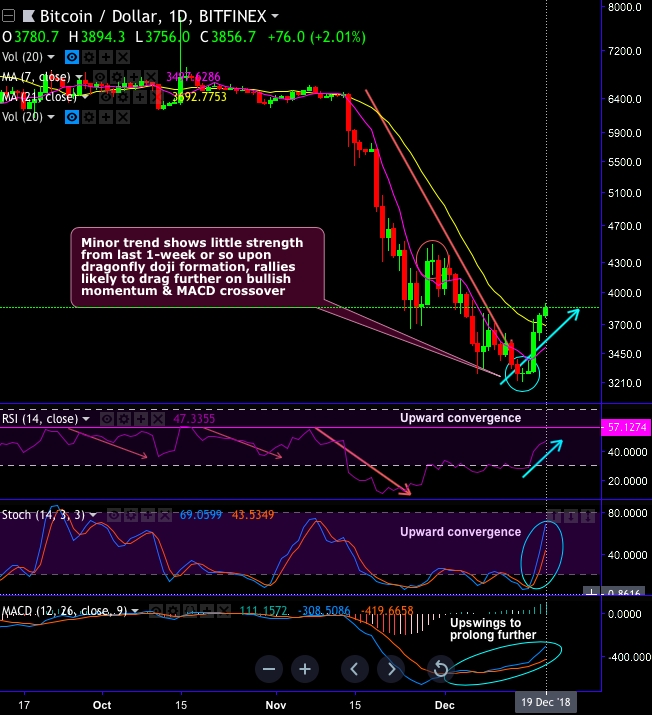 FxWirePro: BTC/USD Dragonfly Doji Propels Rallies Above DMAs, Intermediate Trend Still Looks ...