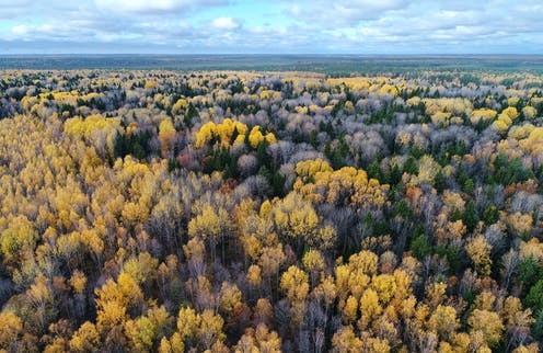 How three biosphere reserves came together to effectively solve the ...