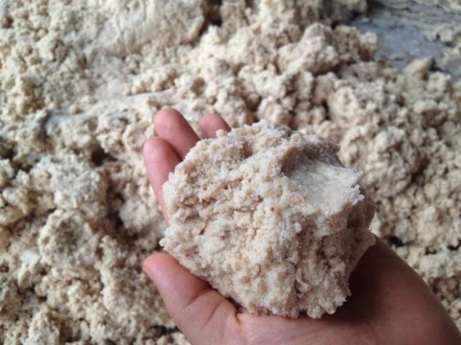 S. Korean construction firm to develop bioethanol using cassava waste ...